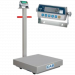 CAS Carbon Steel Transit Series Portable Platform Scales | The Scale House