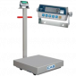 CAS Carbon Steel Transit Series Portable Platform Scales | The Scale House